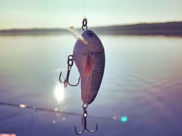 9 Best Spring Bass Lures To Increase The Fishing Action in 2025 - Bass ...