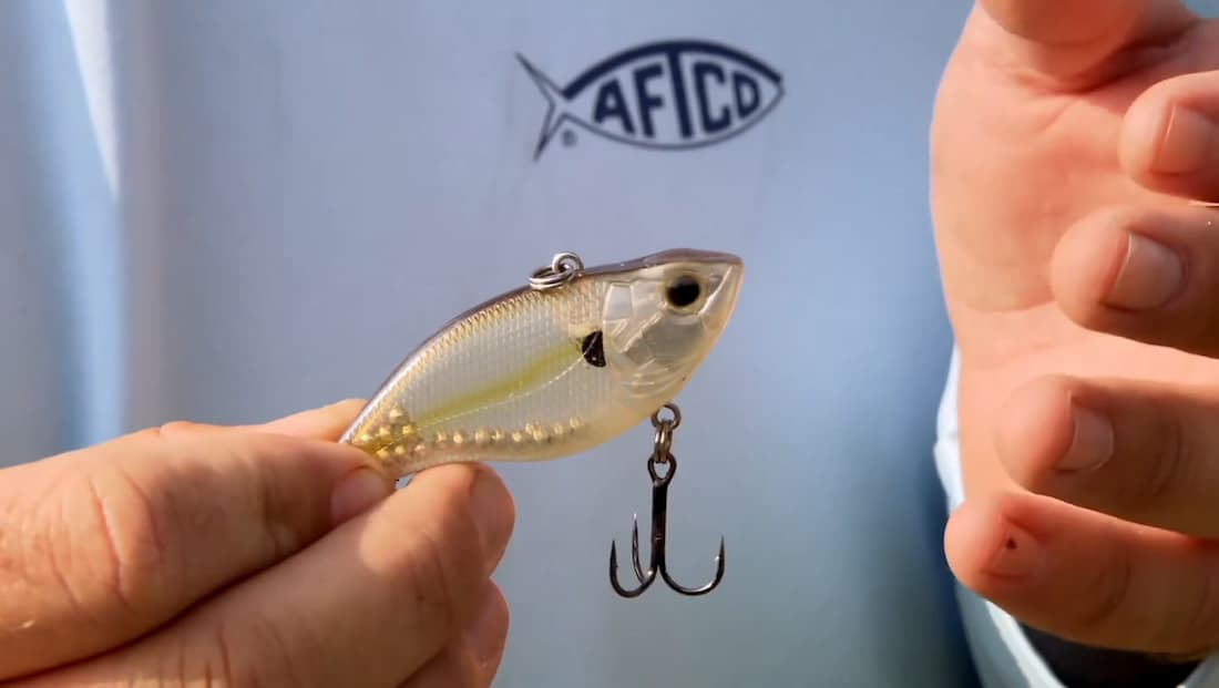 9 Best Spring Bass Lures To Increase The Fishing Action in 2025 - Bass ...