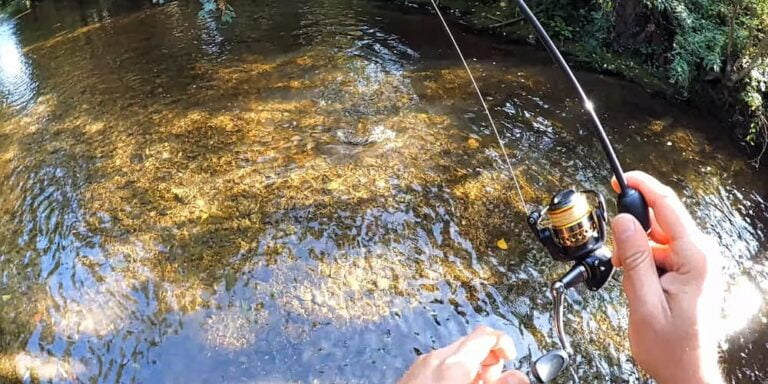 Penn Battle 2 and Battle 3 Spinning Reel Review