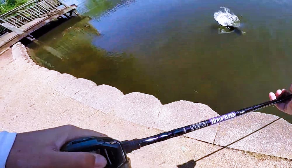 St. Croix Mojo Bass Spinning and Casting Rod Review - Bass N Edge