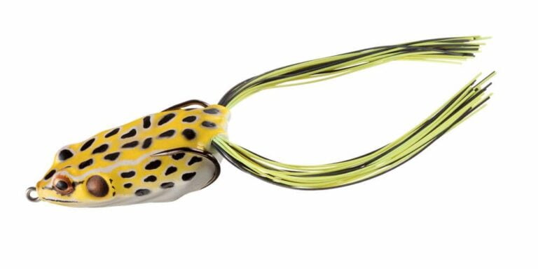 9 Best Spring Bass Lures To Increase The Fishing Action in 2025 - Bass ...