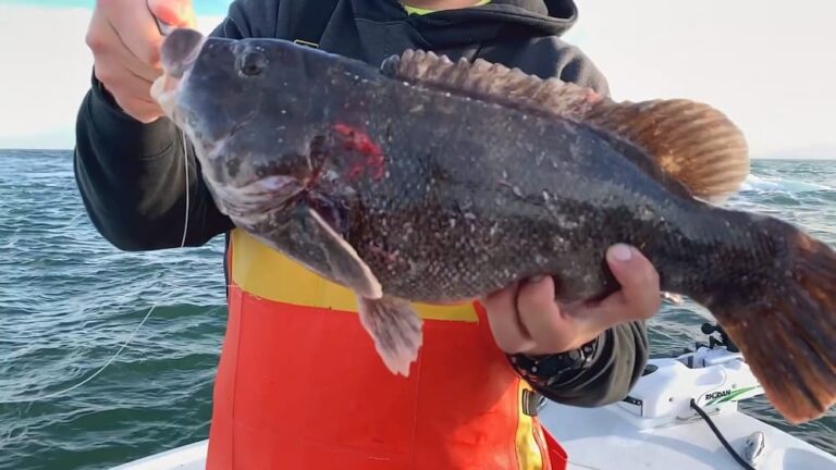 PENN Clash 2 Spinning Reel Review - Bass N Edge