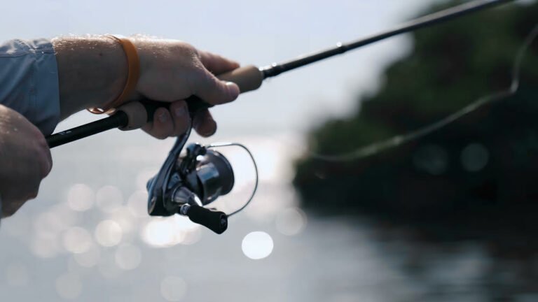 Daiwa Exist Spinning Reel Review - Bass N Edge