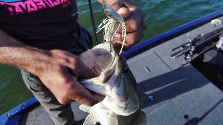 How To Fish With A Chatterbait Lure - Bass N Edge
