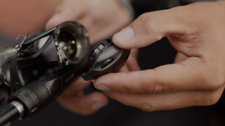 Shimano Curado BFS Review – Finesse Baitcaster - Bass N Edge